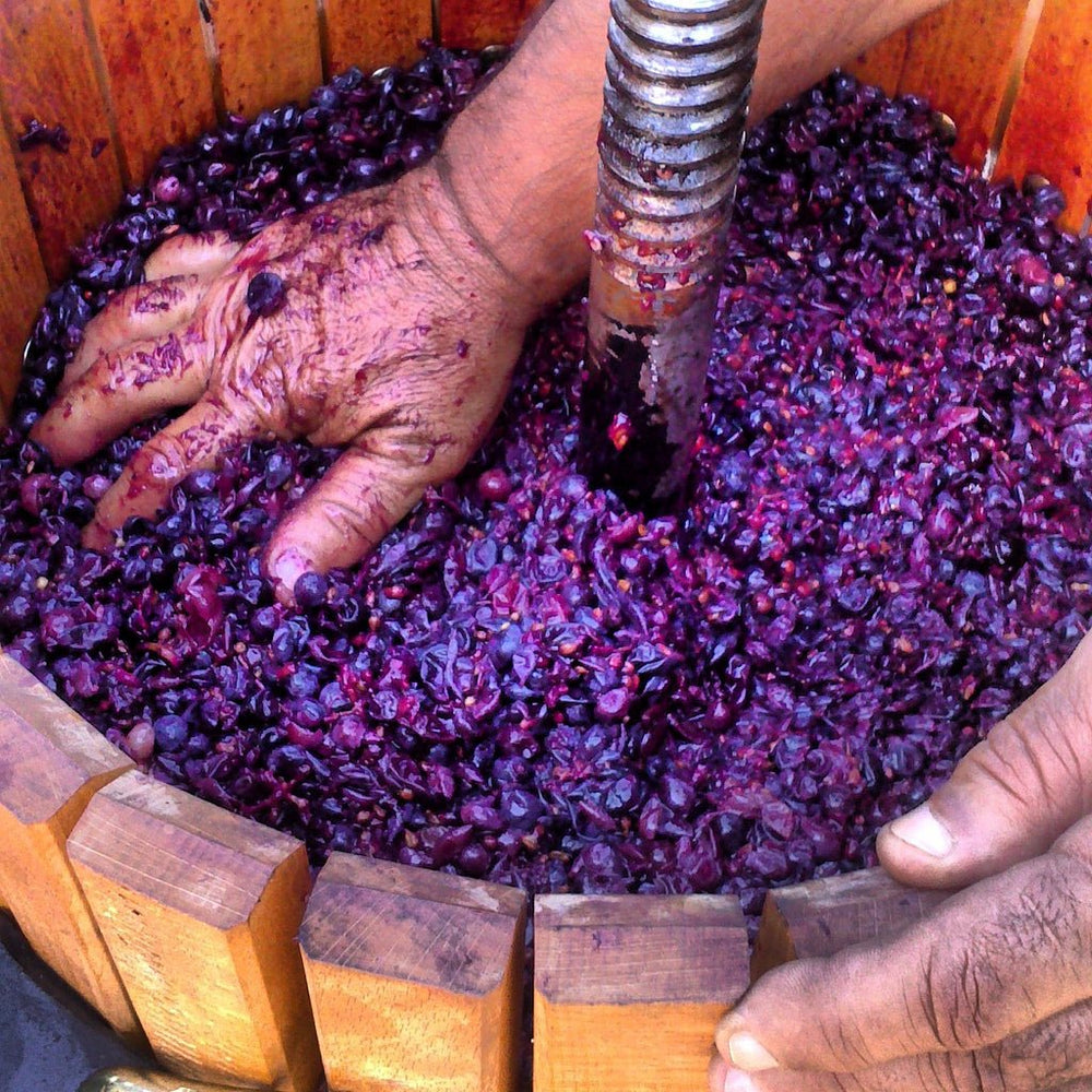 How To Make Homemade Wine Key Differences From Vineyard Wines