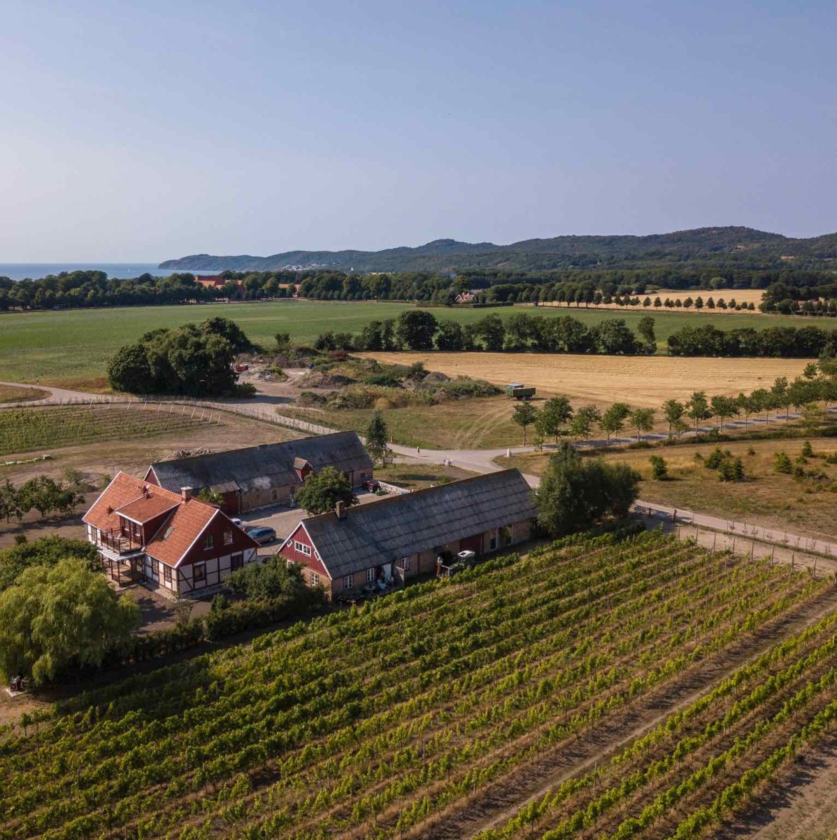 Skåne – A Growing Wine Region in Southern Sweden