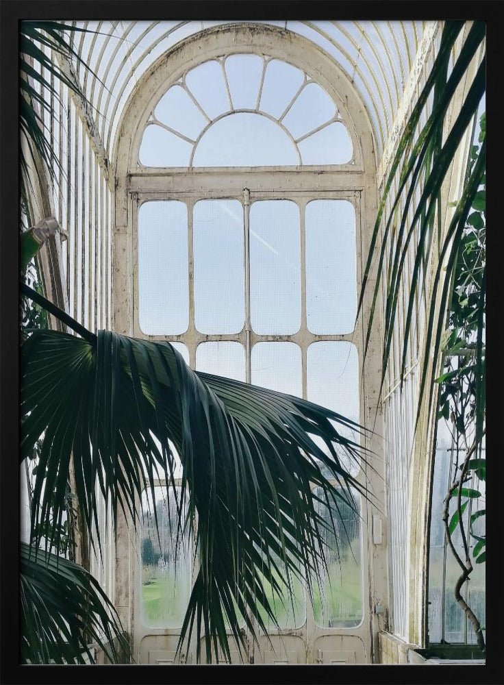 Palm House Poster