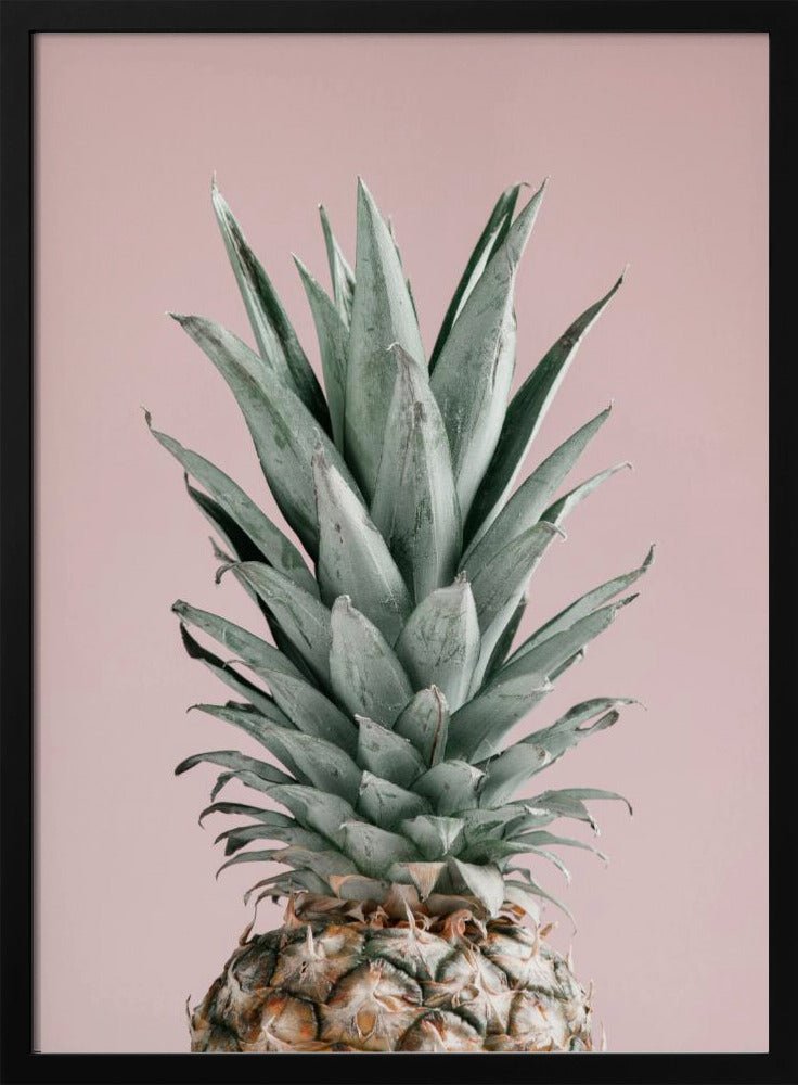 Pineapple Pink 02 Poster