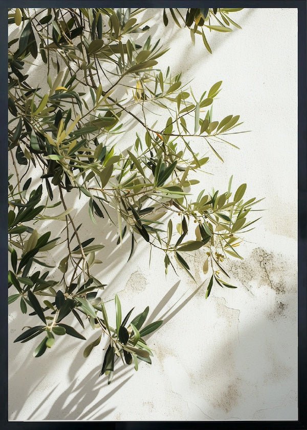 Tuscany Olive Tree Poster